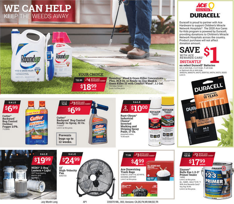 ACE Hardware Monthly Ad July 01 – July 31, 2020