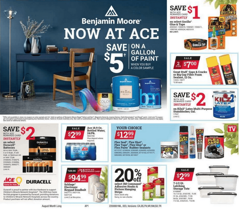 ACE Hardware Monthly Ad Aug 01 – Aug 31, 2020