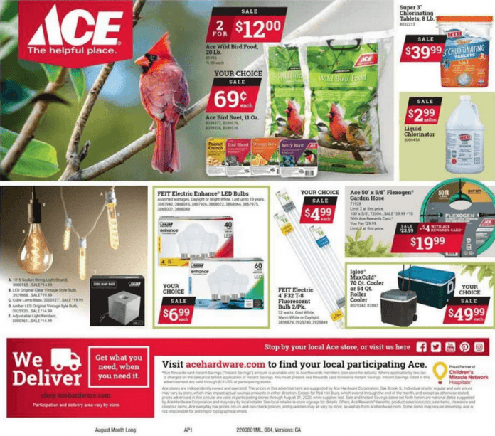 ACE Hardware Monthly Ad Aug 01 – Aug 31, 2020