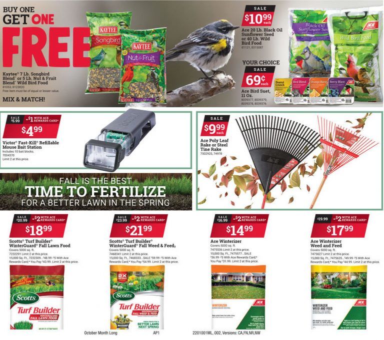 ACE Hardware Monthly Ad Oct 01 – Oct 31, 2020