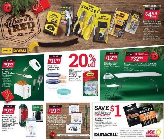 ACE Hardware Monthly Ad Nov 01 – Nov 30, 2020