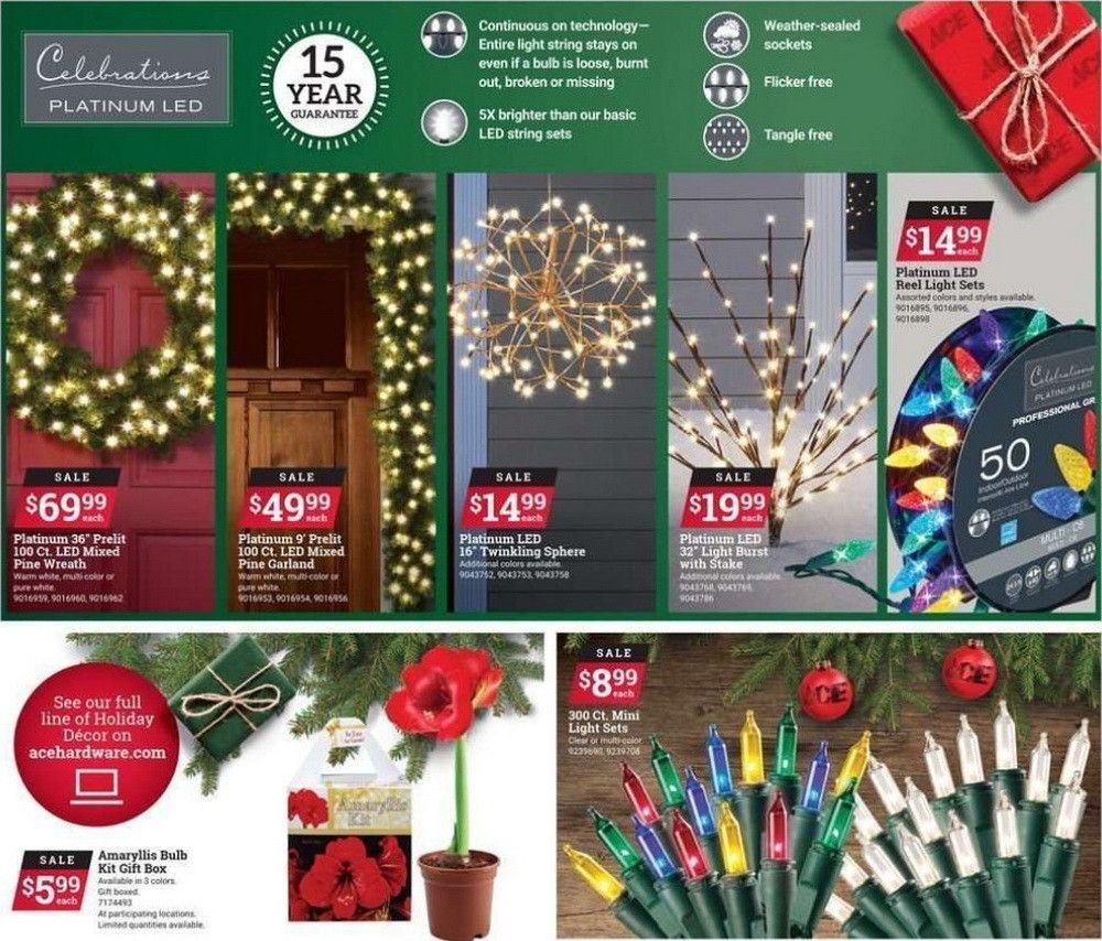 ACE Hardware Monthly Ad Nov 01 – Nov 30, 2020