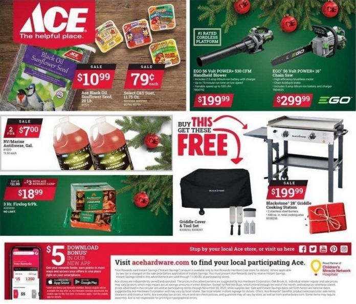 ACE Hardware Monthly Ad Nov 01 – Nov 30, 2020