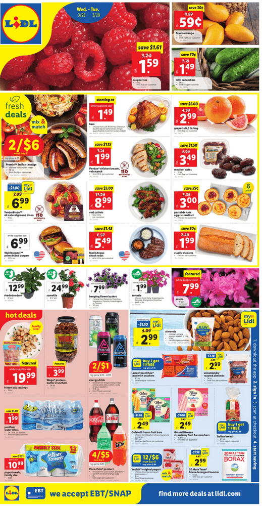 Lidl Weekly Ad Mar 23 – Mar 29, 2022 (Easter Promotion Included)