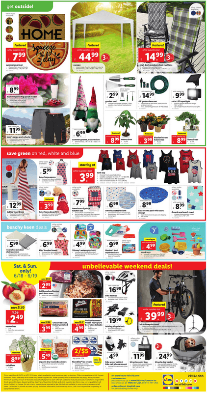 Lidl Weekly Flyer Jun 15 – Jun 21, 2022