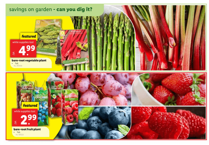 Lidl Weekly Ad Mar 29 – Apr 04, 2023 (Easter Promotion Included)