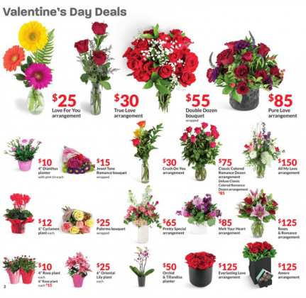 Hy-Vee Valentine's Day Ad Feb 01 – Feb 14, 2024