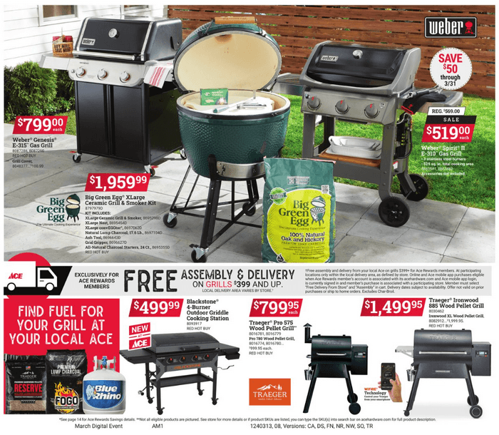 ACE Hardware Spring Event Ad Mar 13 – Mar 25, 2024