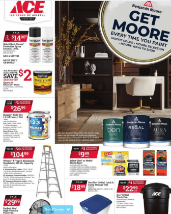 ACE Hardware Weekly Ad Jun 26 – Jul 08, 2024 (4th Of July Promotion ...