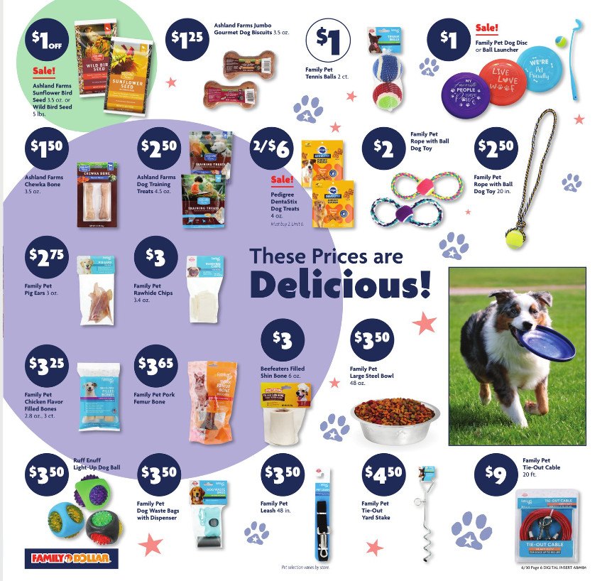 Family Dollar Weekly Ad June 30 – July 06, 2024 (4th of July Promotion Included)