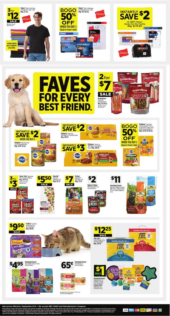 Dollar General Weekly Ad Sep 08 – Sep 14, 2024 (Halloween Promotion ...