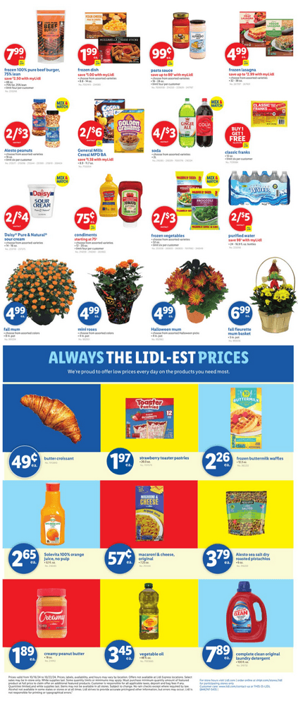 Lidl Weekly Ad Oct 16 – Oct 22, 2024 (Halloween Promotion Included)