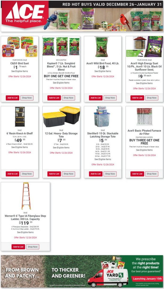 ACE Hardware Monthly Ad Dec 26, 2024 – Jan 31, 2025