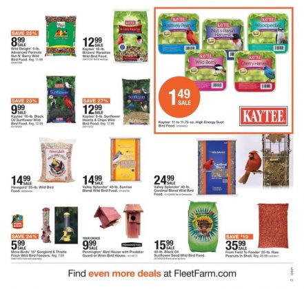 Fleet Farm Weekly Ad Dec 19 – Dec 25, 2024 (Christmas Promotion Included)