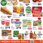 fry's | Weekly Ad Pro