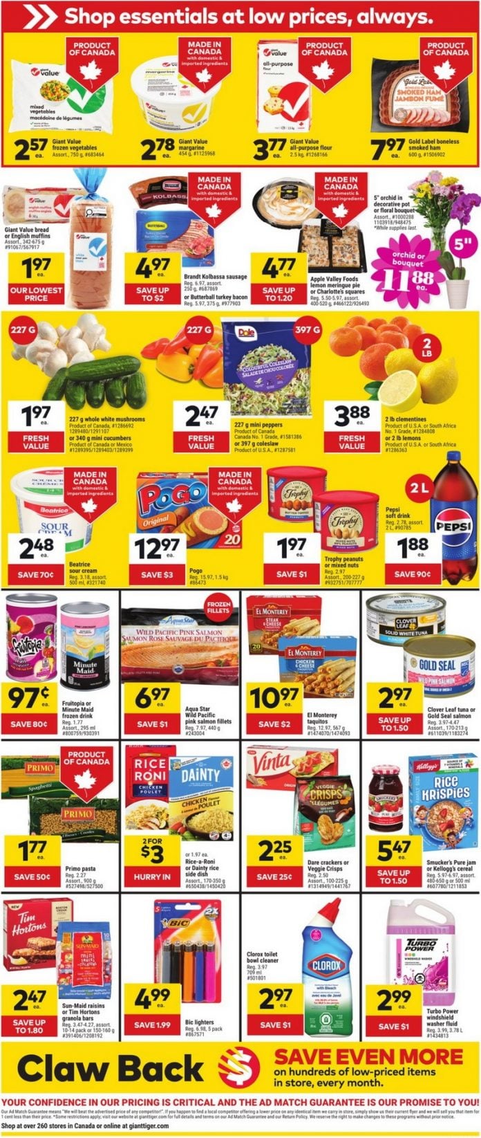 Giant Tiger Weekly Ad May 07 – May 13, 2025 (Mother's Day Promotion ...