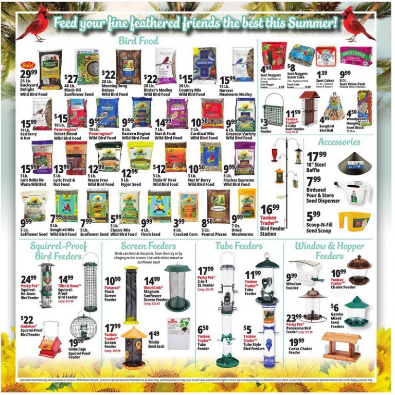 Ocean State Job Lot Weekly Ad May 29 – Jun 04, 2025