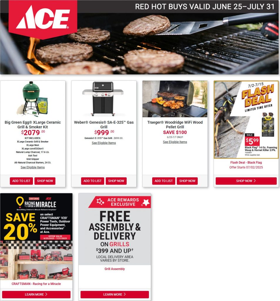 ACE Hardware Monthly Ad Jun 25 – Jul 31, 2025