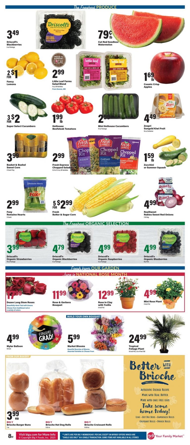 Big Y Weekly Ad Jun 19 – Jun 25, 2025