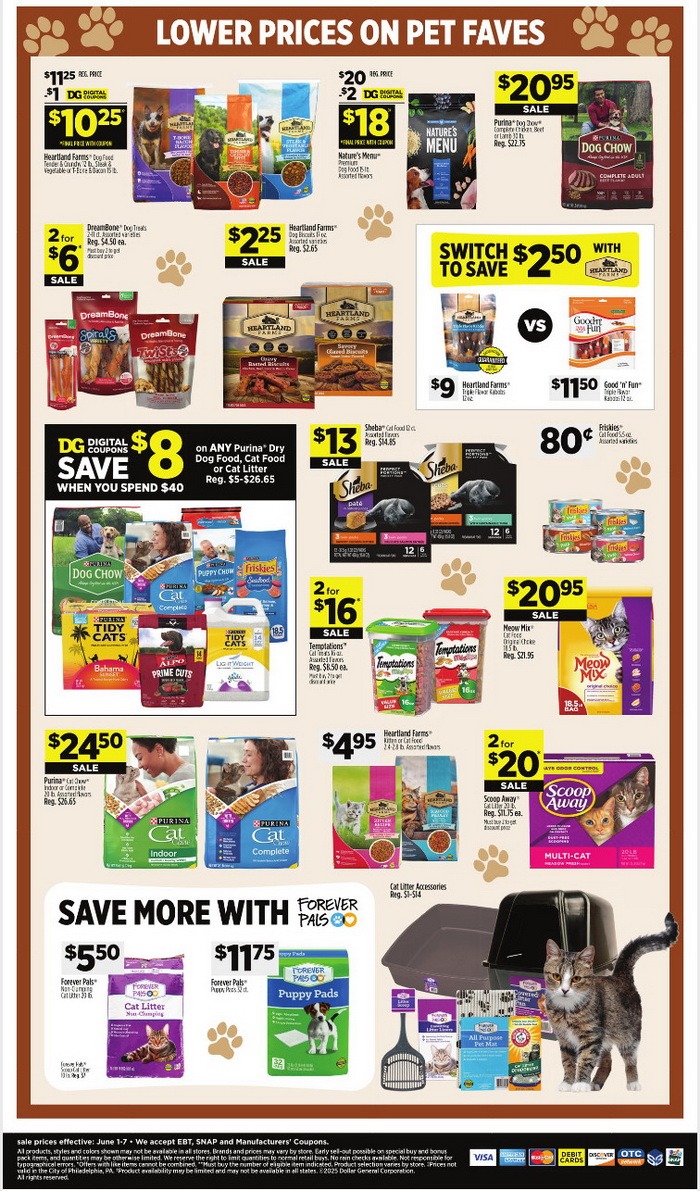 Dollar General Weekly Ad Jun 01 – Jun 07, 2025