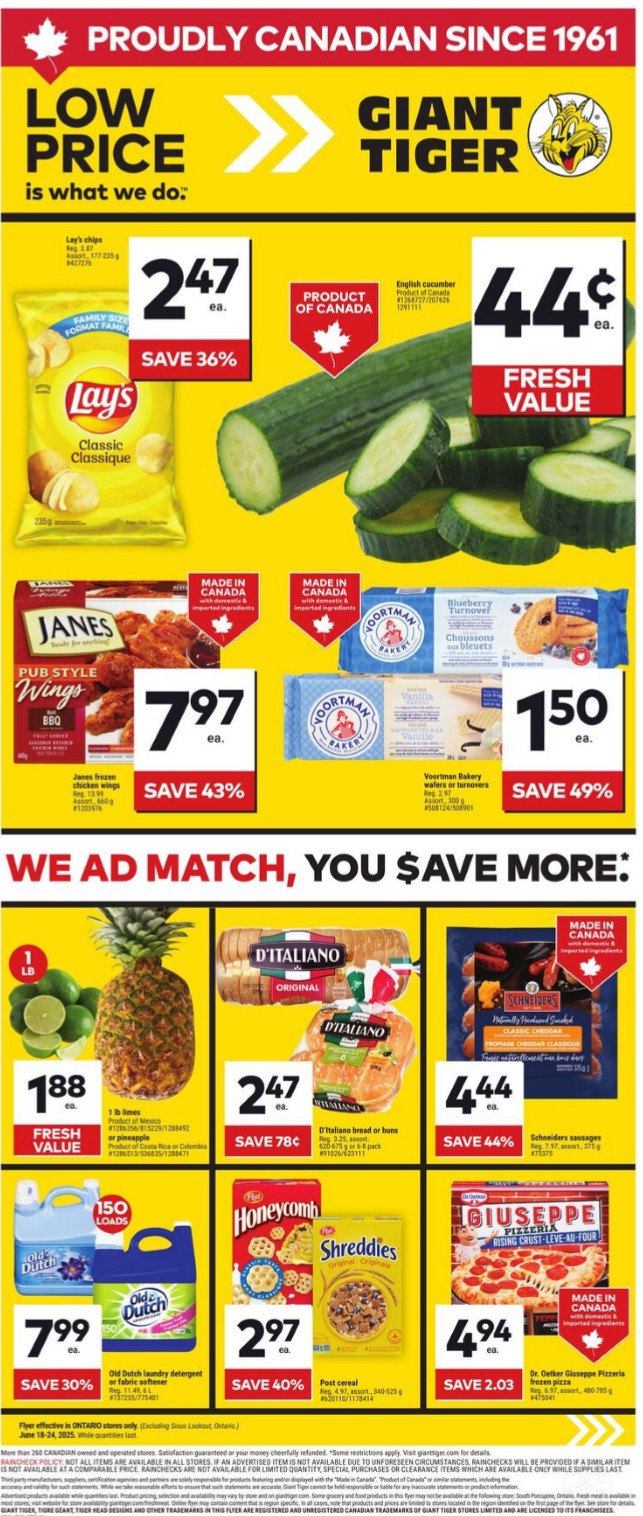 Giant Tiger Weekly Ad Jun 18 – Jun 24, 2025