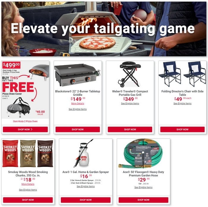 ACE Hardware Monthly Ad Aug 01 – Aug 26, 2025