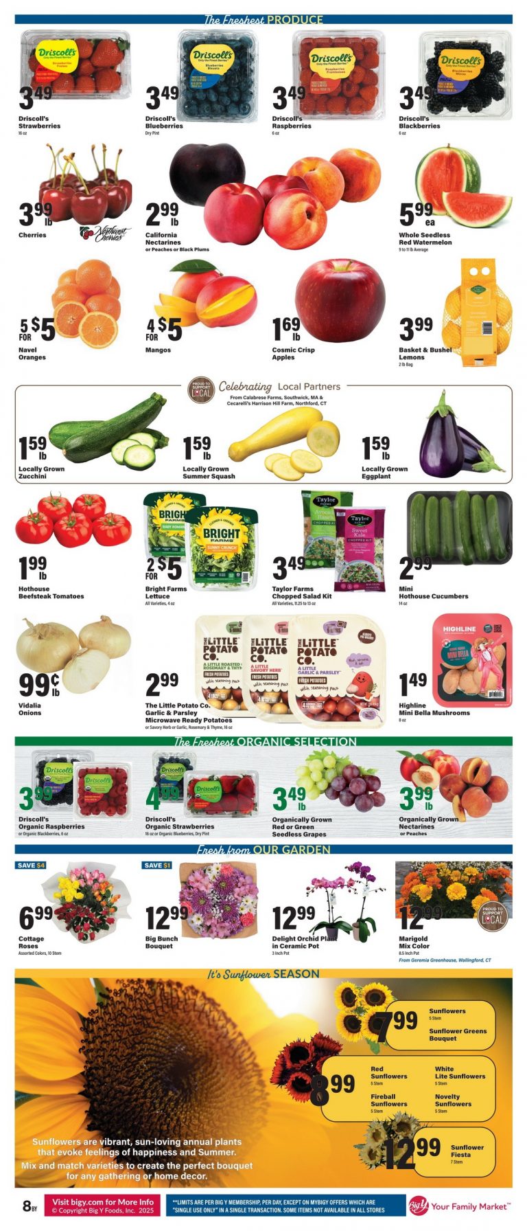 Big Y Weekly Ad Jul 24 – Jul 30, 2025