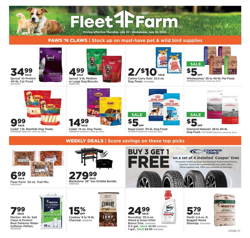 Fleet Farm Weekly Ad Jul 10 – Jul 16, 2025