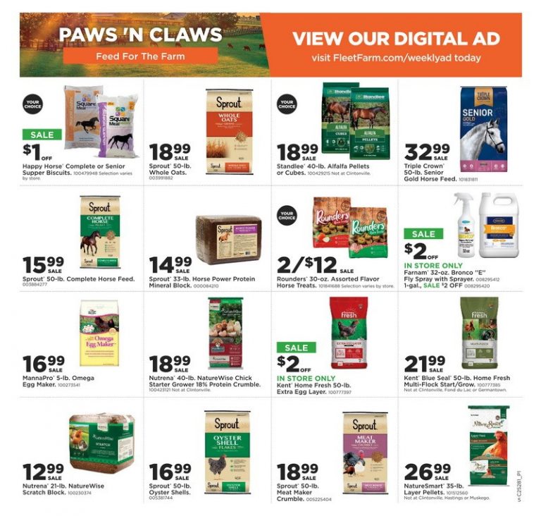 Fleet Farm Weekly Ad Jul 10 – Jul 16, 2025