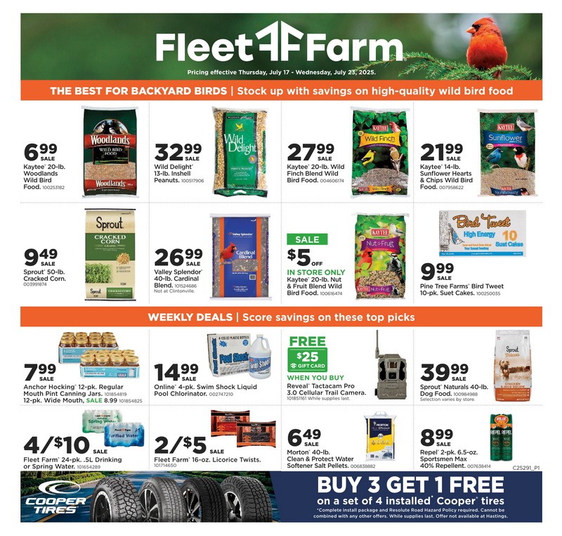 Fleet Farm Weekly Ad Jul 17 – Jul 23, 2025