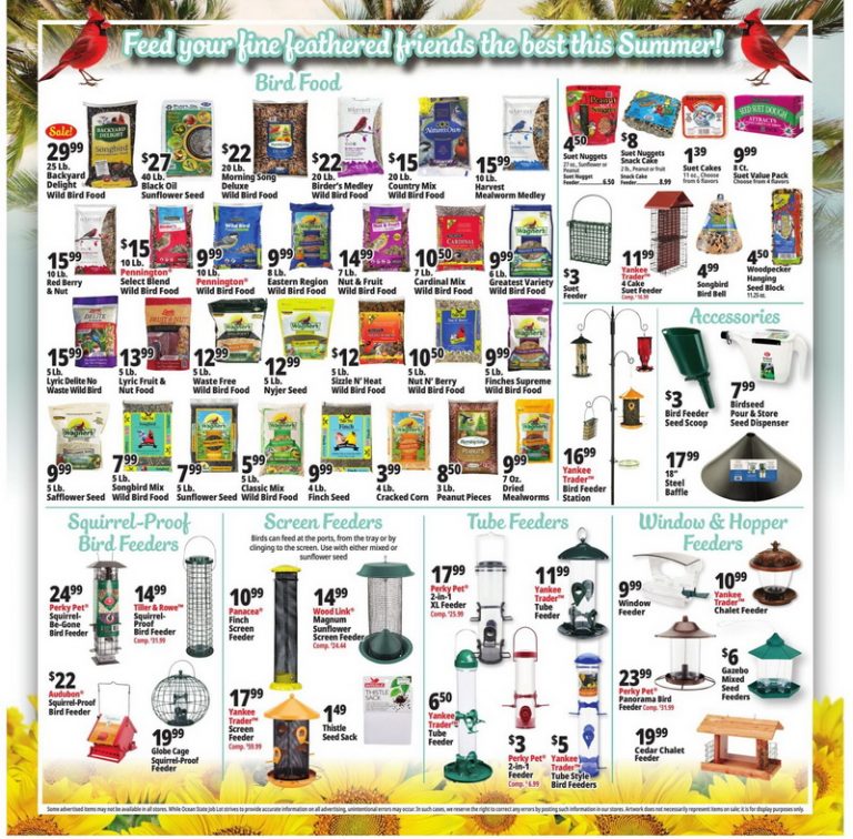 Ocean State Job Lot Weekly Ad Jul 24 – Jul 30, 2025