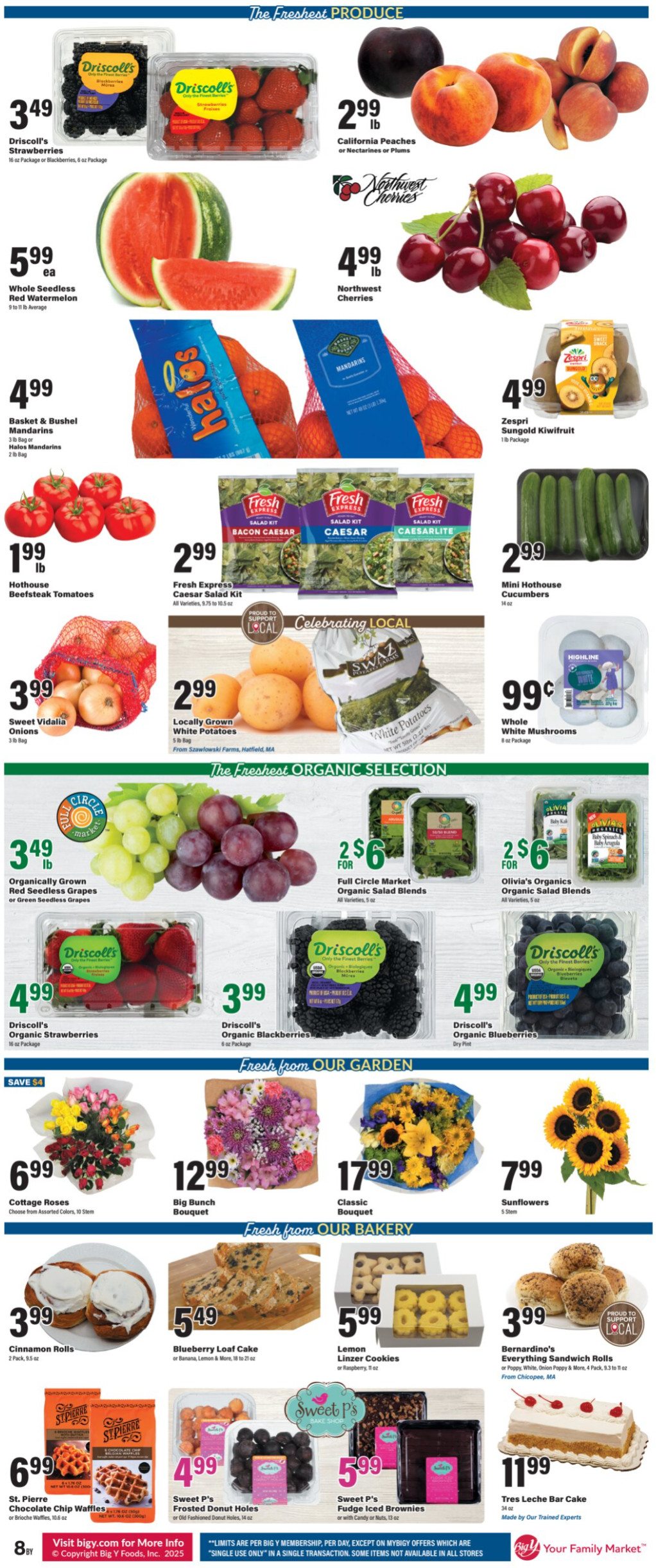 Big Y Weekly Ad Aug 07 – Aug 13, 2025