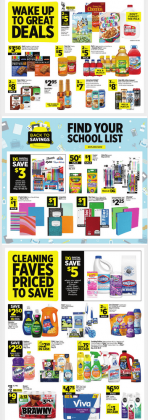 Dollar General Weekly Ad Aug 24 – Aug 30, 2025