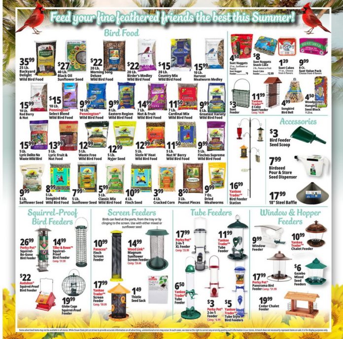 Ocean State Job Lot Weekly Ad Aug 14 – Aug 20, 2025