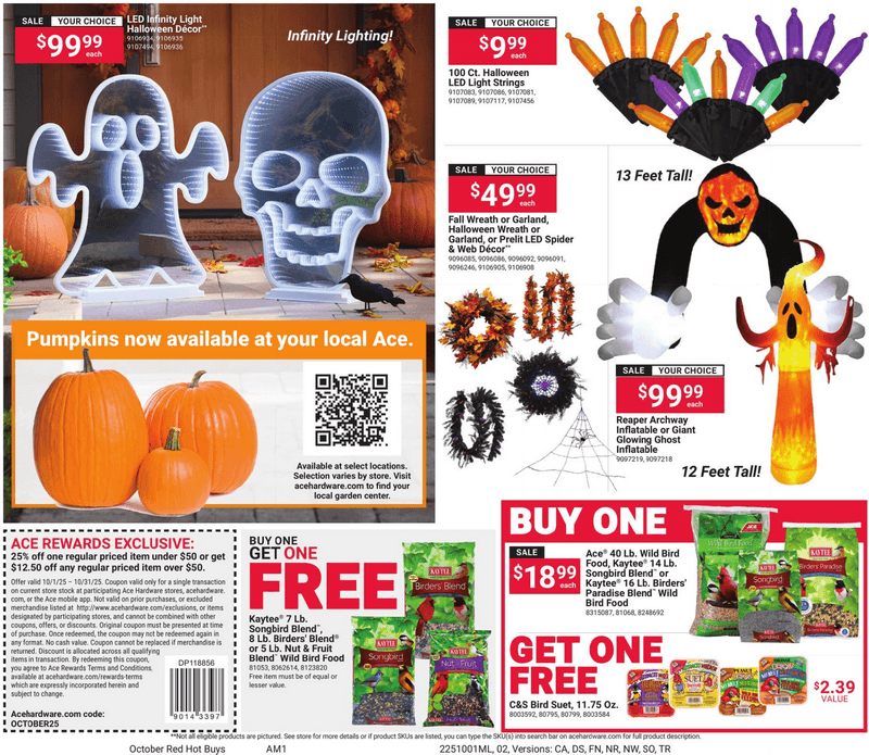 ACE Hardware Monthly Ad Oct 01 – Oct 31, 2025 (Halloween Promotion ...