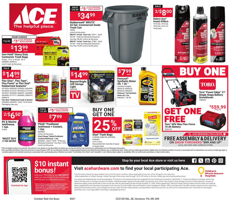 ACE Hardware Monthly Ad Oct 01 – Oct 31, 2025 (Halloween Promotion ...