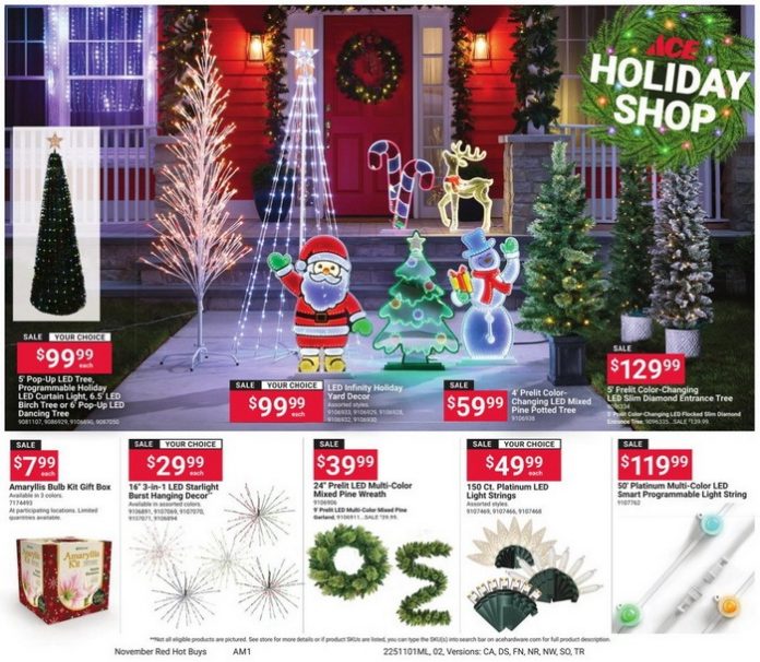 ACE Hardware Monthly Ad Nov 01 – Dec 01, 2025
