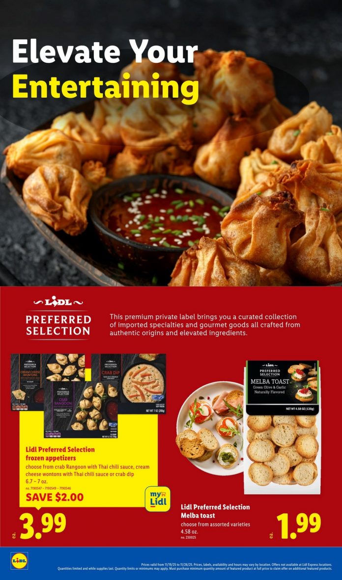 Lidl Weekly Ad Nov 19 – Nov 25, 2025 (Black Friday Promotion Included)