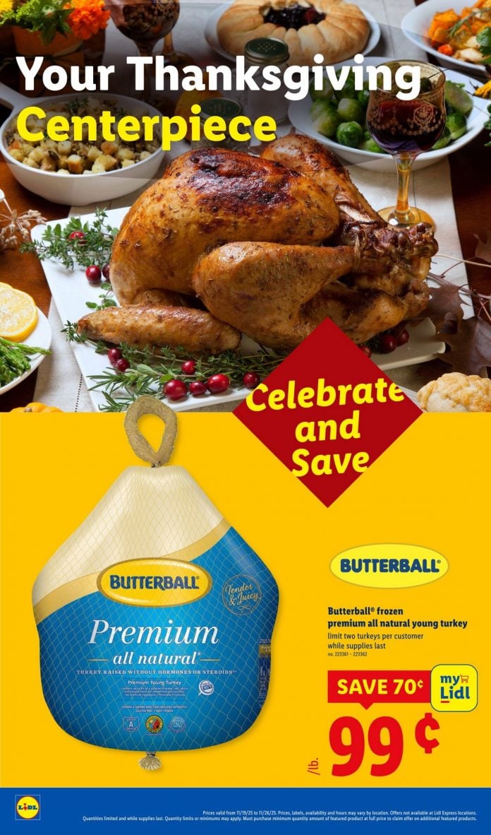 Lidl Weekly Ad Nov 19 – Nov 25, 2025 (Black Friday Promotion Included)
