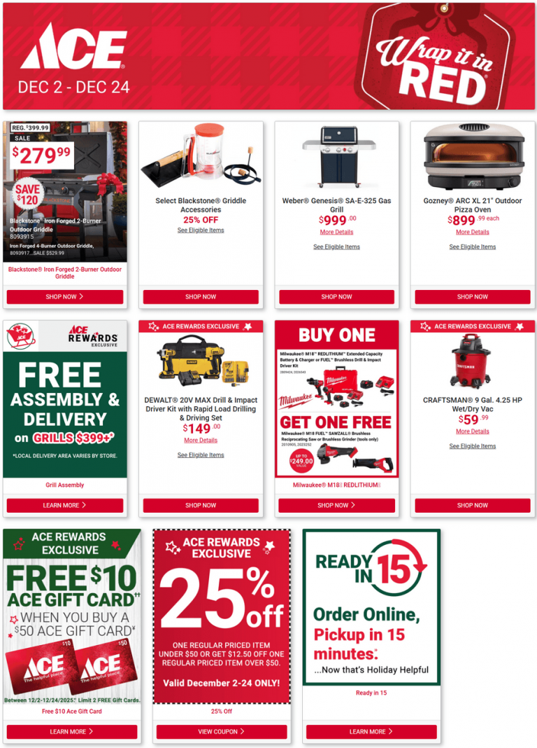 ACE Hardware Monthly Ad Dec 02 – Dec 24, 2025