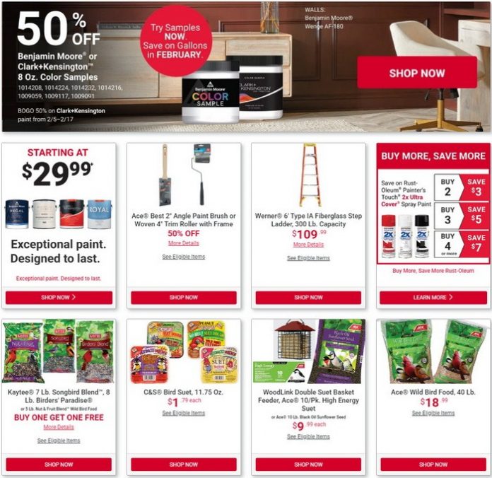 ACE Hardware Monthly Ad Dec 26, 2025 – Jan 31, 2026