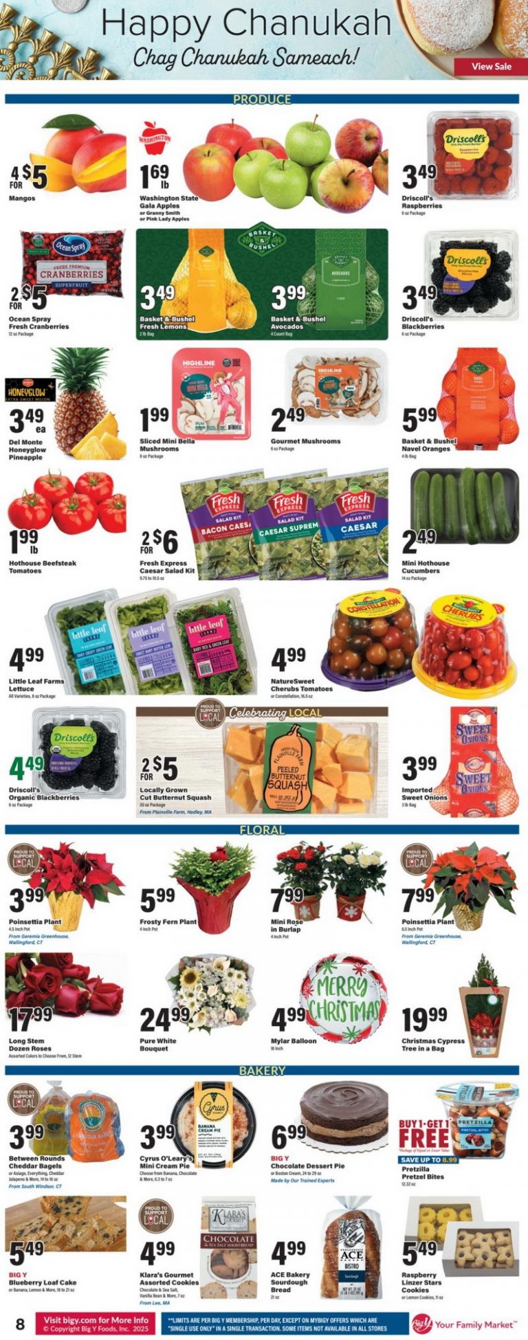 Big Y Weekly Ad Dec 04 – Dec 10, 2025 (Christmas Promotion Included)