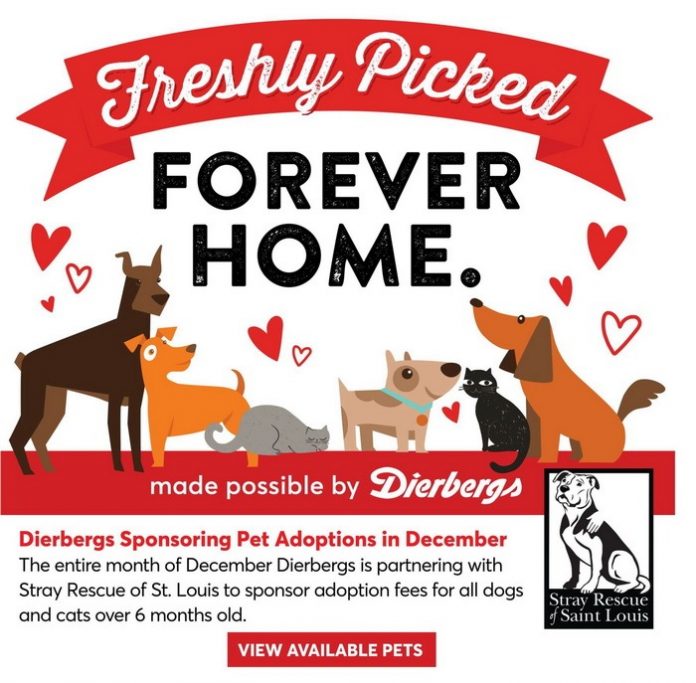Dierbergs Markets Weekly Ad Dec 09 – Dec 15, 2025 (Christmas Promotion ...
