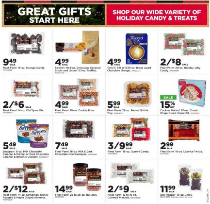 Fleet Farm Weekly Ad Dec 04 – Dec 10, 2025 (Christmas Promotion Included)