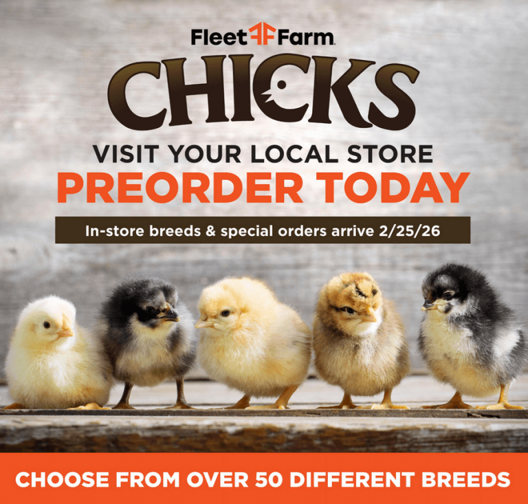 Fleet Farm Weekly Ad Feb 16 – Feb 22, 2026