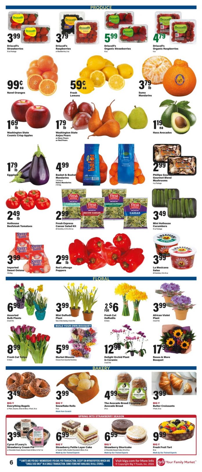 Big Y Weekly Ad Mar 19 – Mar 25, 2026 (Easter Promotion Included)