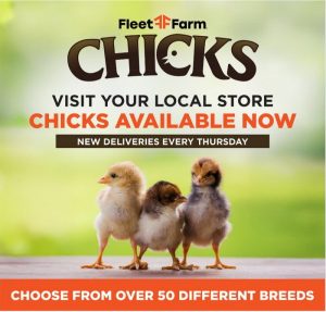 Fleet Farm Weekly Ad Mar 02 – Mar 08, 2026