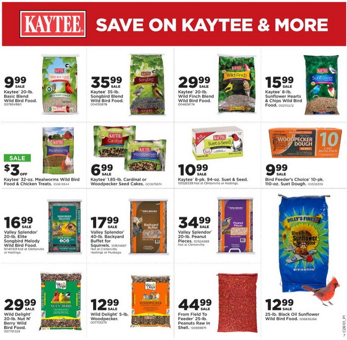 Fleet Farm Weekly Ad Mar 02 – Mar 08, 2026