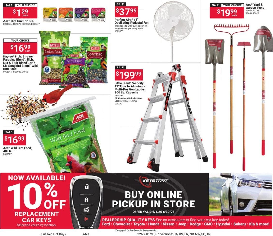 ACE Hardware Monthly Ad Jun 01 – Jun 30, 2026